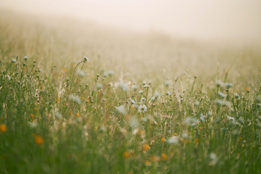 Our Story - About Bramley Products